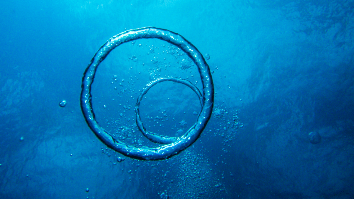 The Great Plankton Race: Champions of the Marine Micro-Olympics – Rogue ...