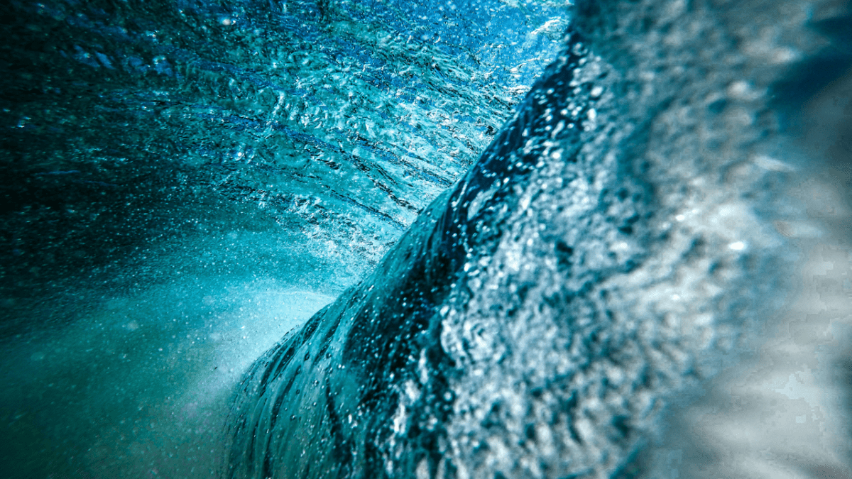 A Universal Language in Fluid Worlds: Sign Language in the Ocean ...